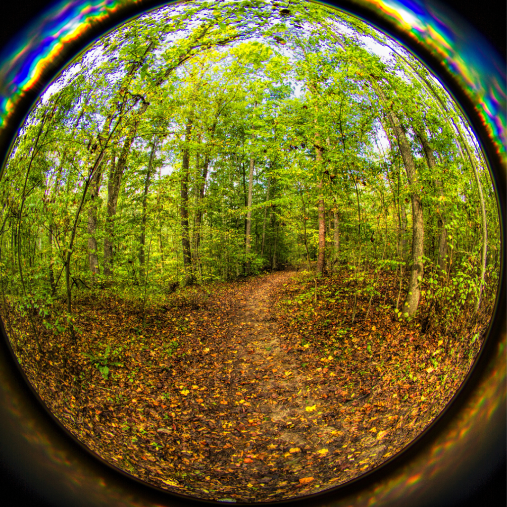 Monotropism and Experiences of being Monotropic | Autistic Realms