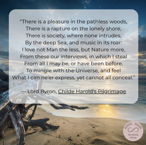 Penguin Pebbling: An Autistic Love Language | Autistic Realms