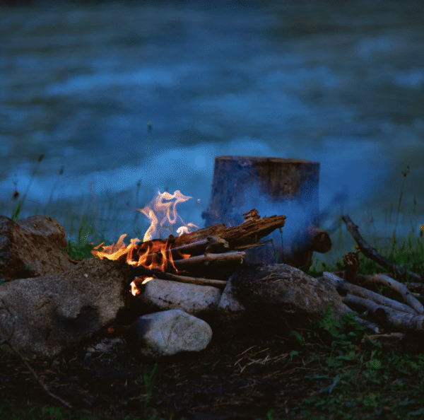 Penguin Pebbling: An Autistic Love Language | Autistic Realms